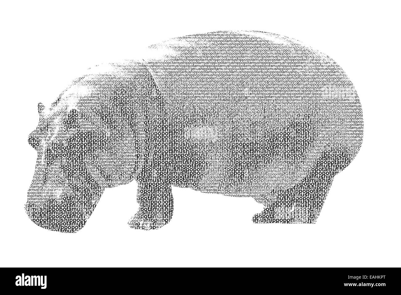 Hippopotamus typography Cut Out Stock Images & Pictures - Alamy
