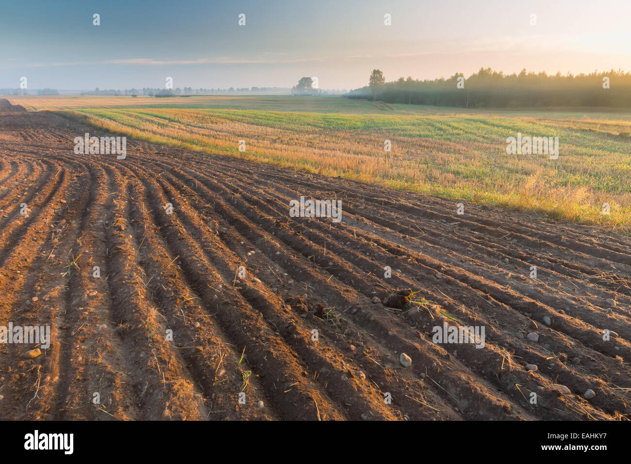 Landscape with plowed field at sunrise Stock Photo - Alamy