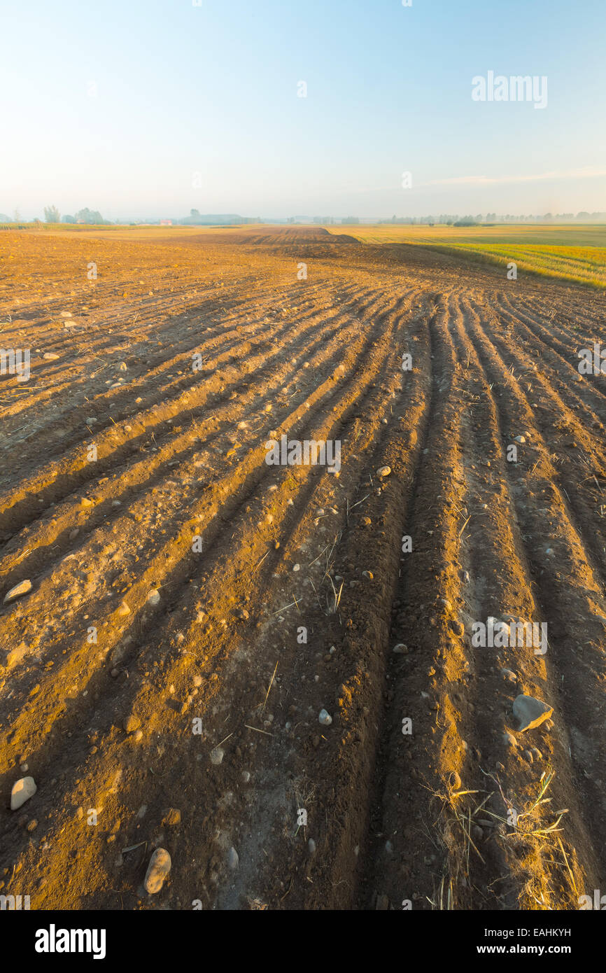 Landscape with plowed field at sunrise Stock Photo - Alamy