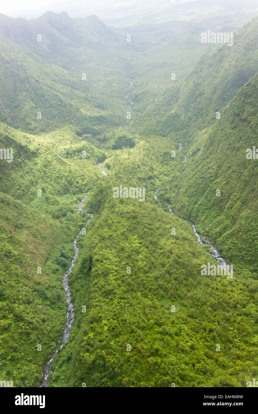 Rivers flowing through forest on Kauai Hawaii USA Stock Photo - Alamy