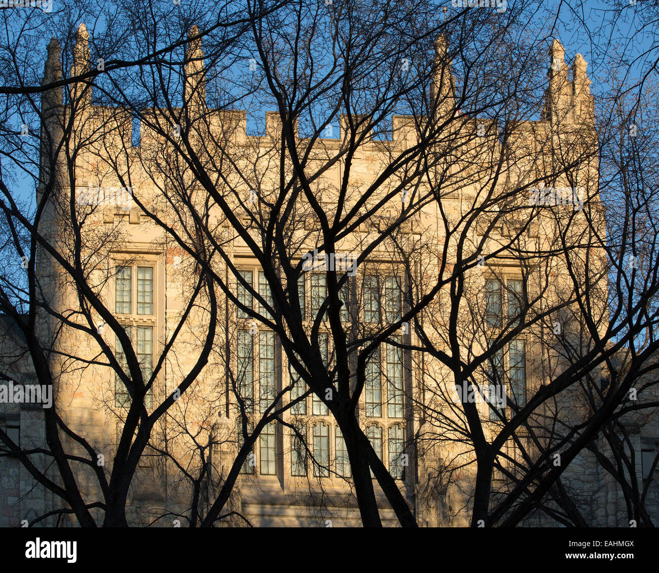 Thorvaldson hi-res stock photography and images - Alamy