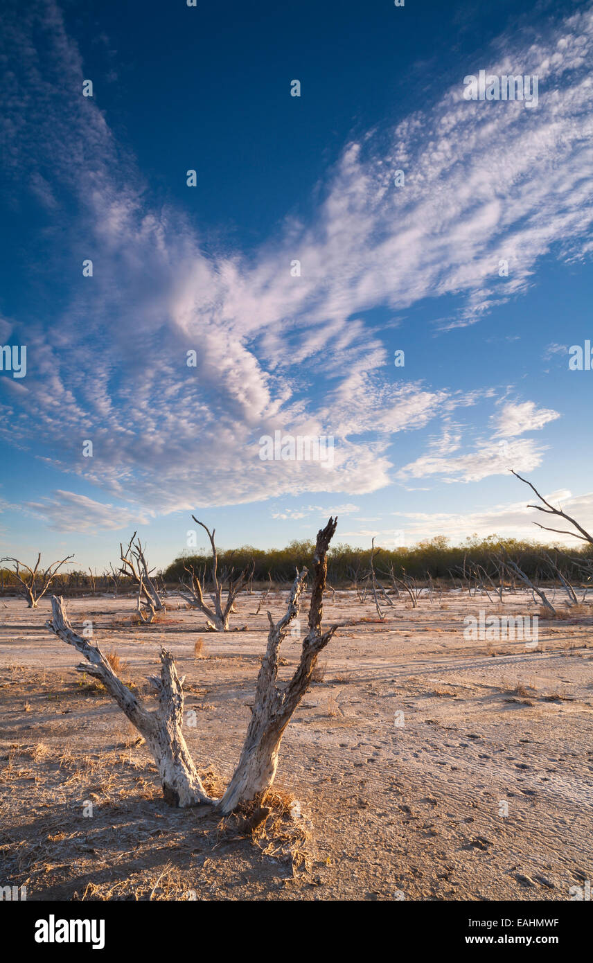 Willacy county hi-res stock photography and images - Alamy