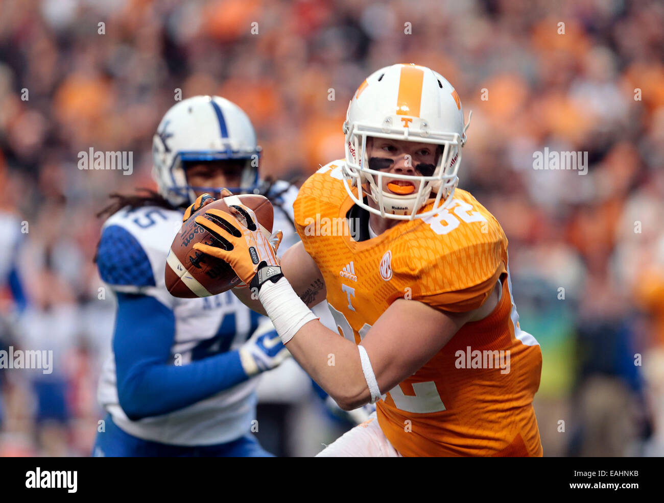 Ethan wolf hi-res stock photography and images - Alamy