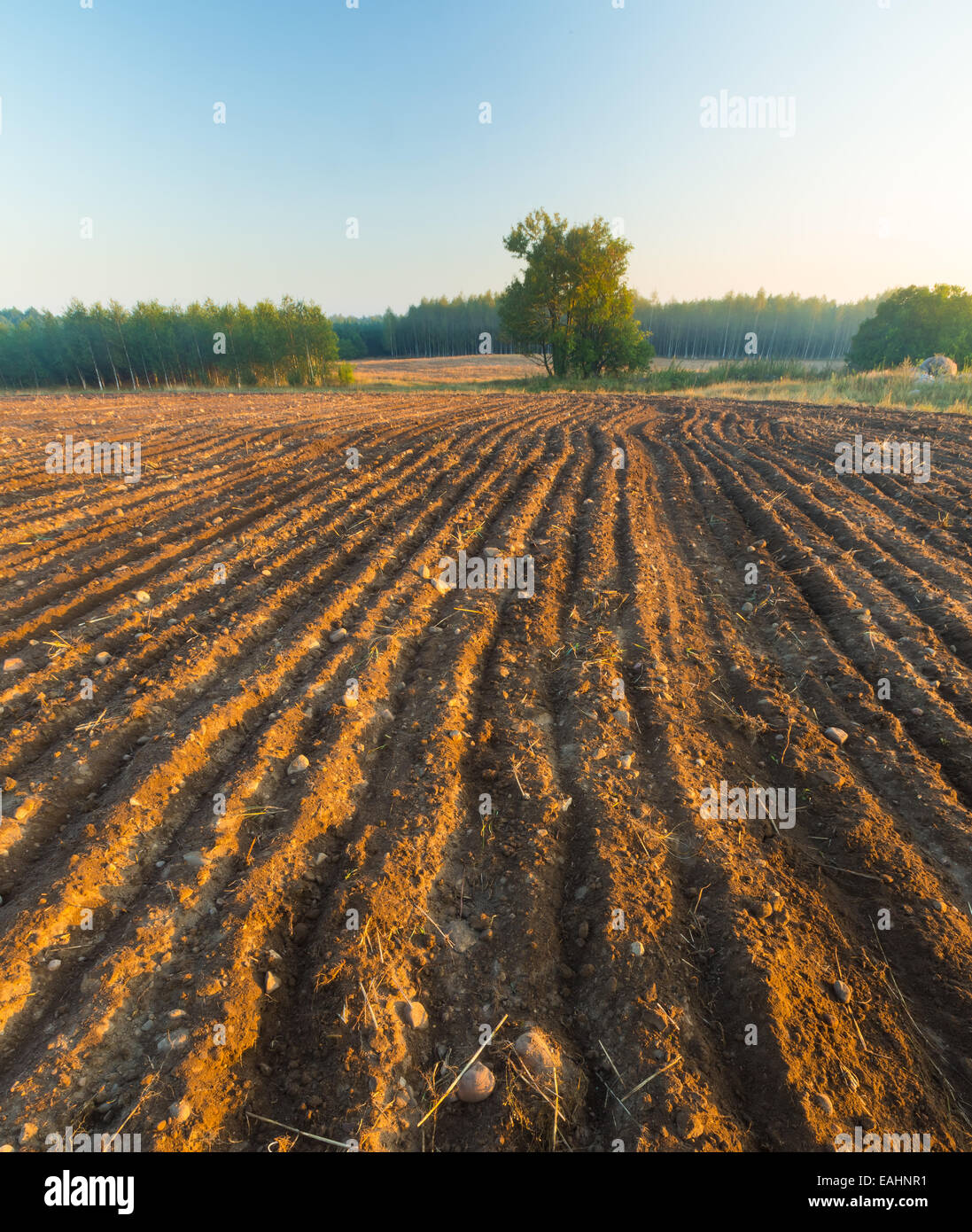 Plowed field hi-res stock photography and images - Alamy