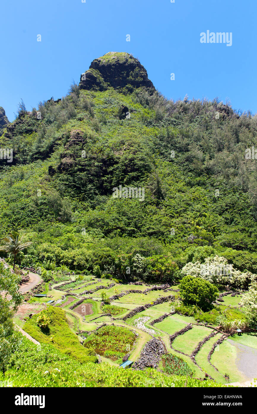 Limahuli Garden and Preserve, Kauai, Hawaii, USA Stock Photo - Alamy