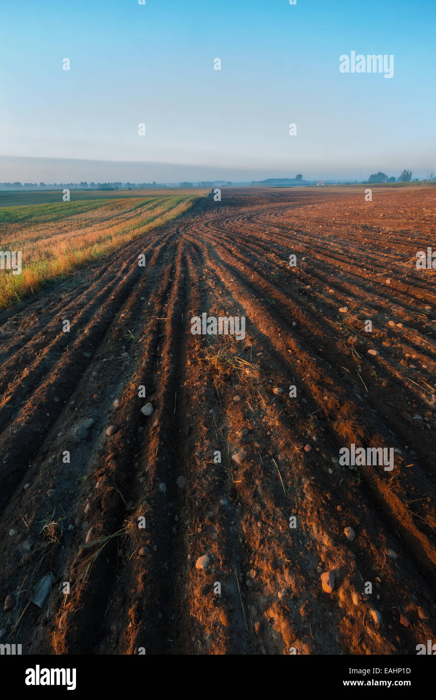 Landscape with plowed field at sunrise Stock Photo - Alamy