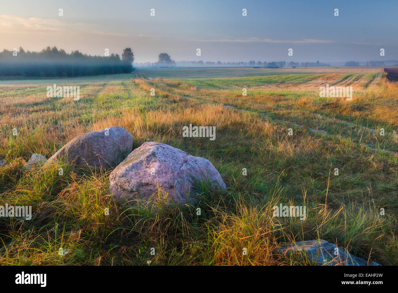 Field landscape with stones Stock Photo - Alamy