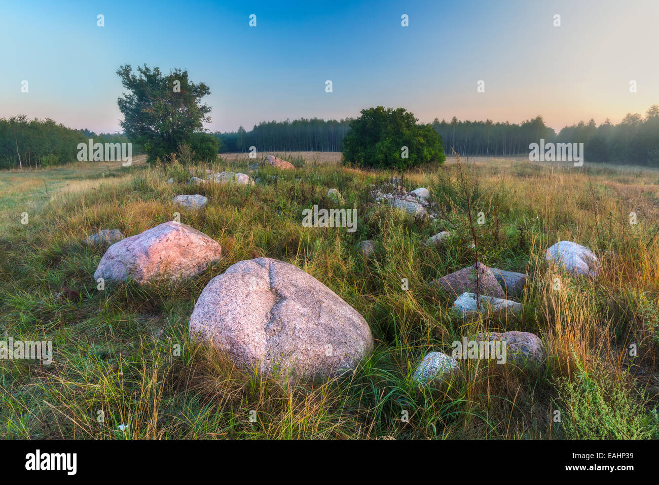 Field landscape with stones Stock Photo - Alamy