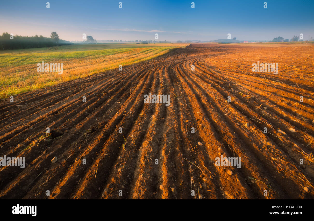 Landscape with plowed field at sunrise Stock Photo - Alamy