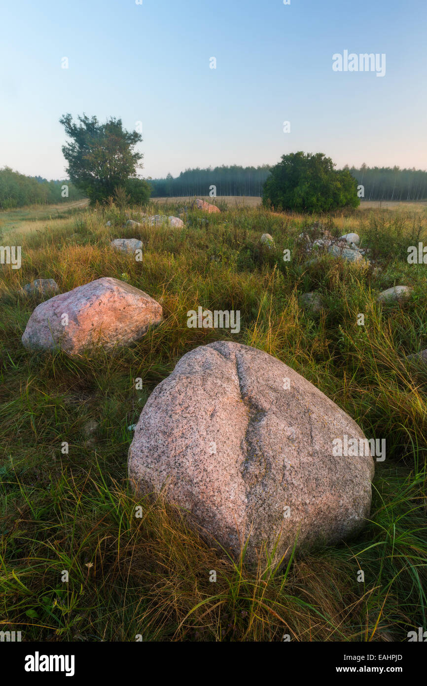 Field landscape with stones Stock Photo - Alamy