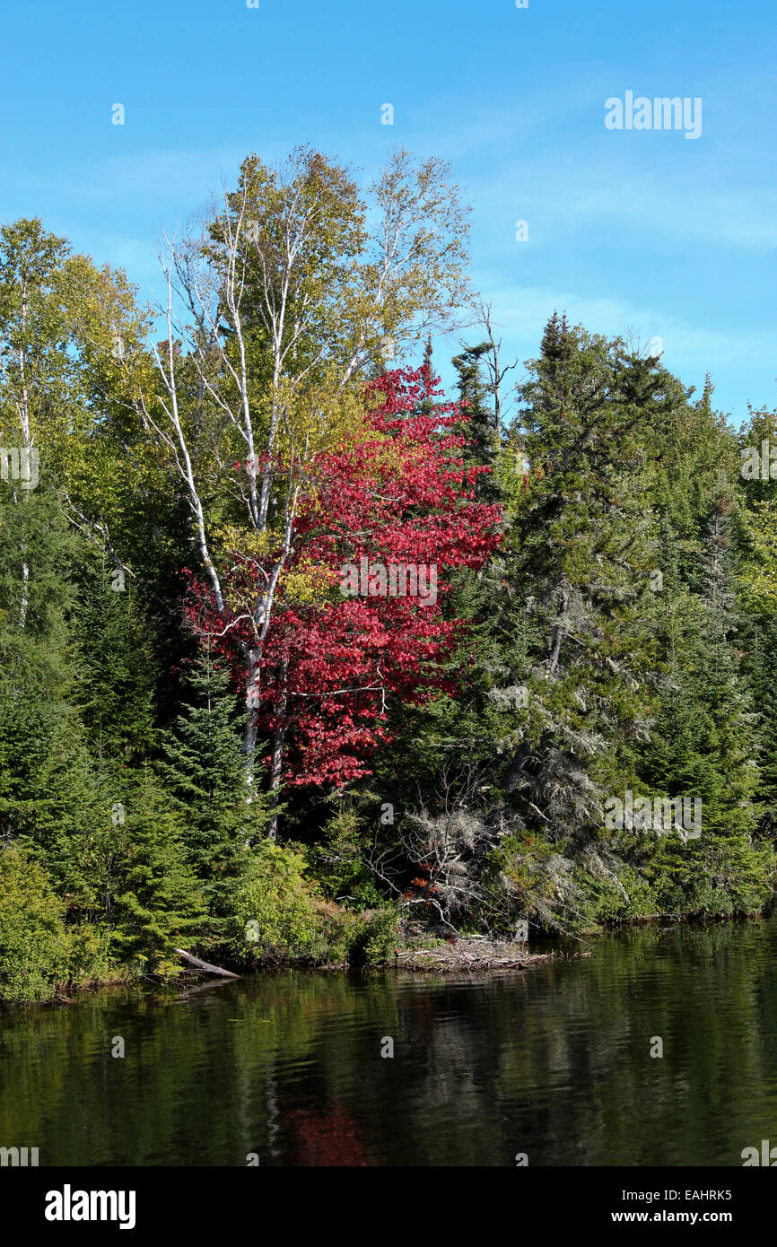 Autumn foliage Adirondacks Adirondack State Park New York Stock Photo ...