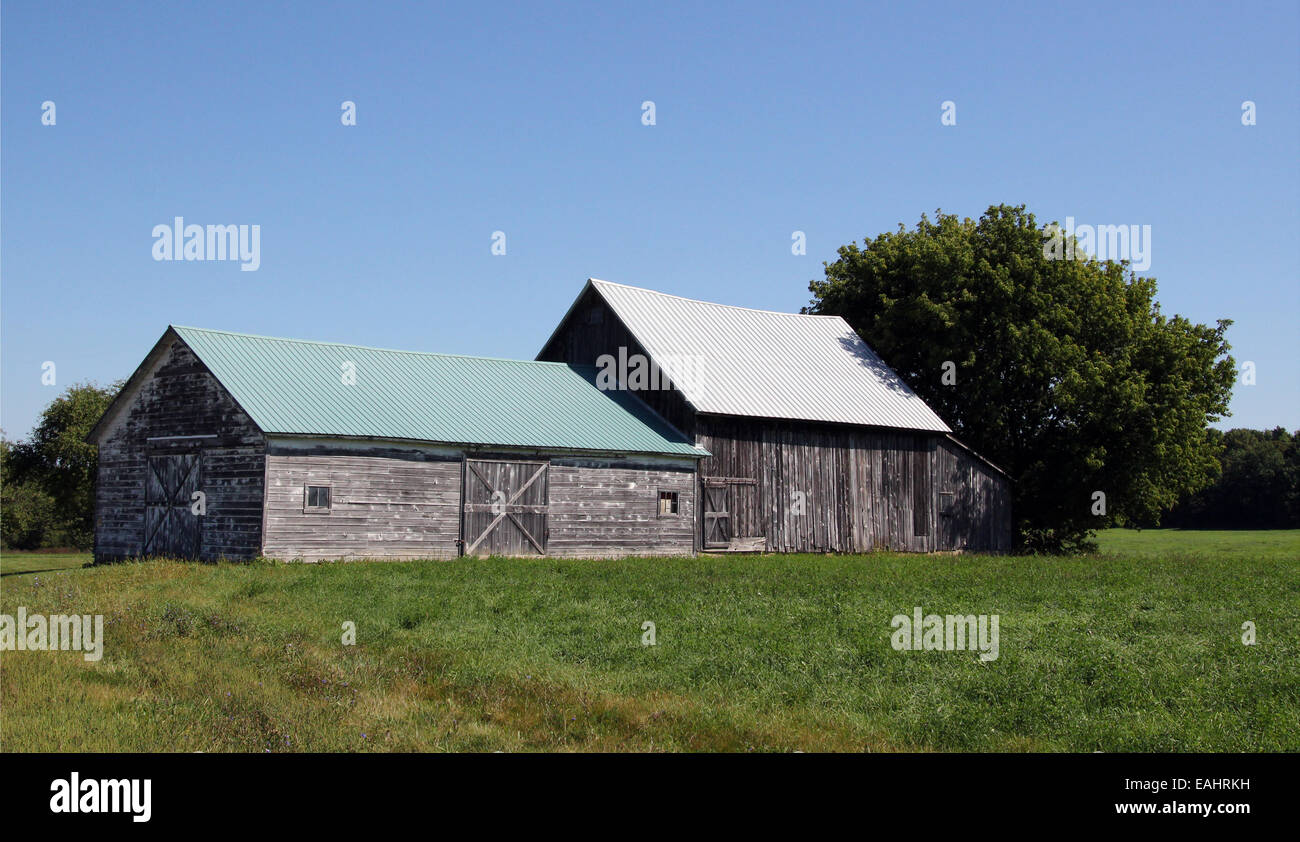 gray weathered barn with metal roof Stock Photo - Alamy
