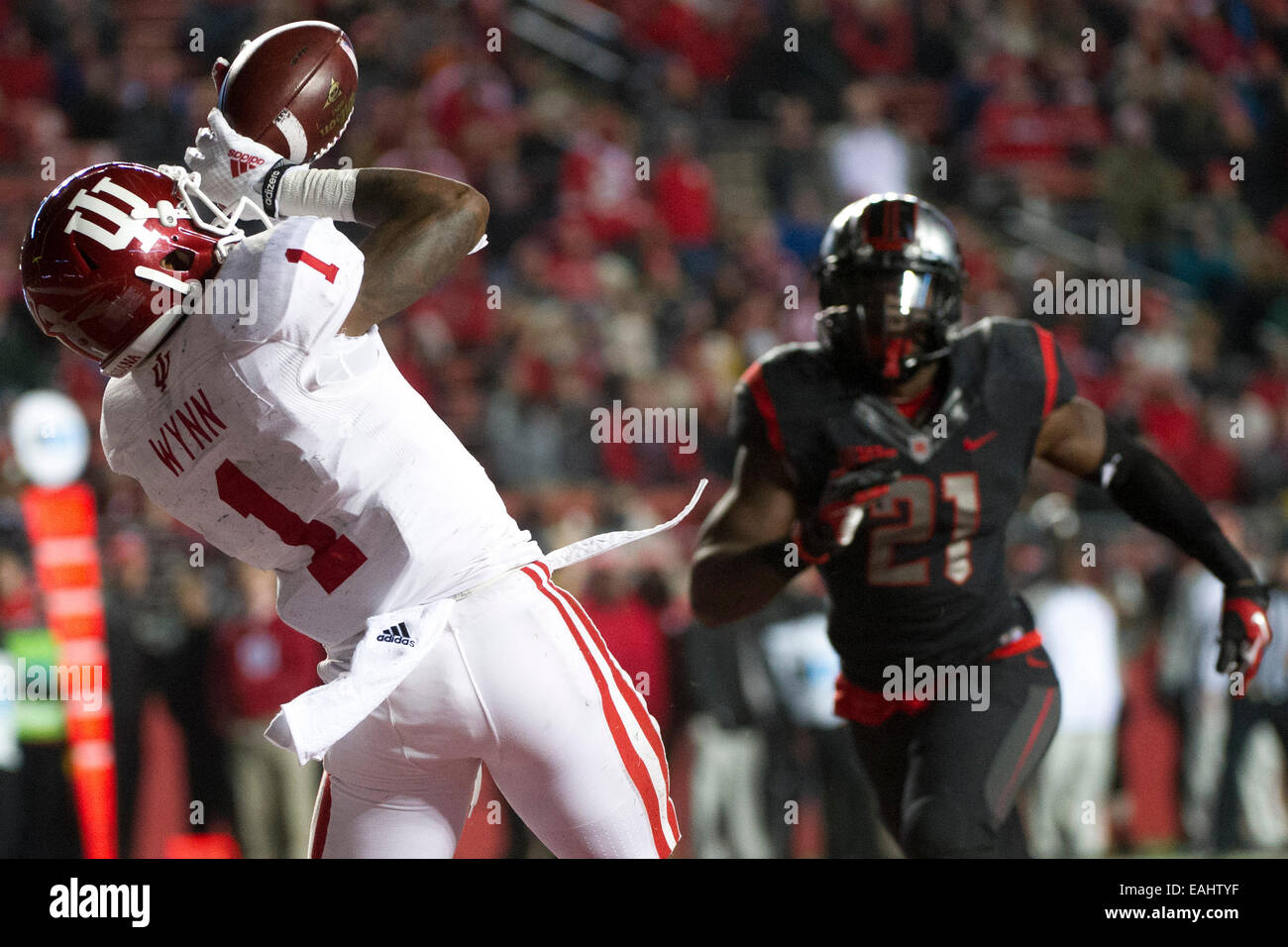 Shane wynn hi-res stock photography and images - Alamy