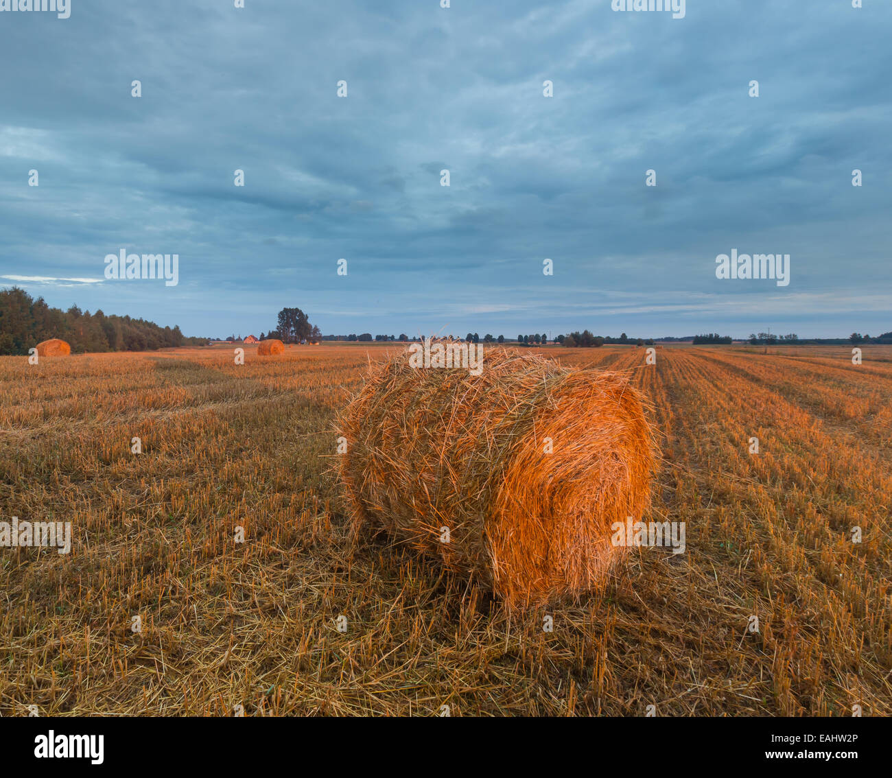 Straw bales on field under cloudy sunset sky. Polish rural landscape ...