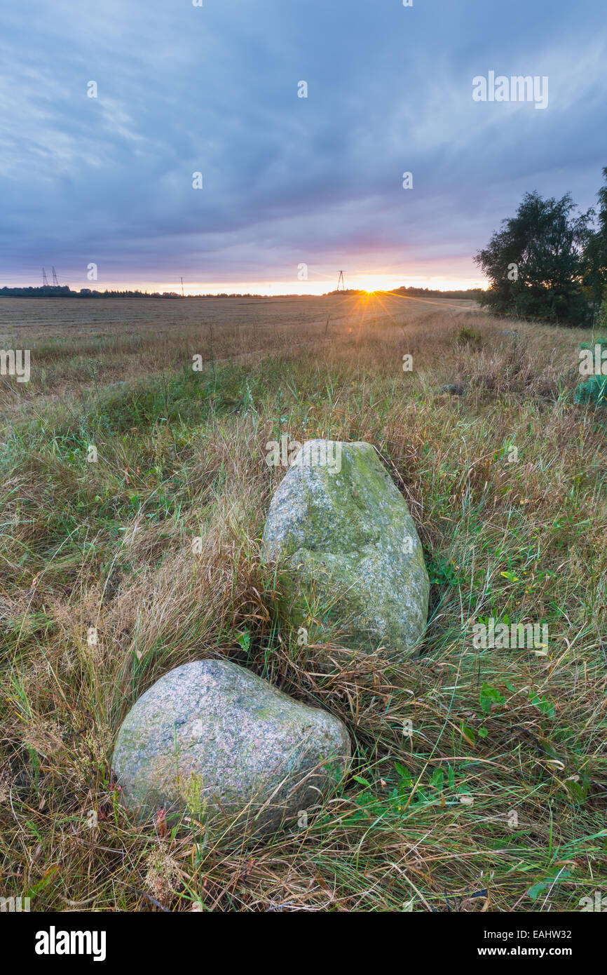Grass grassy field rock hi-res stock photography and images - Alamy