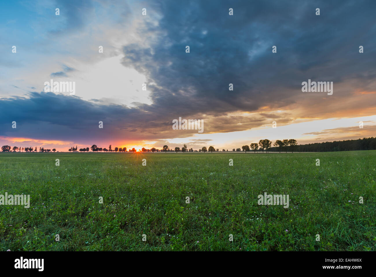 Green field at morning Stock Photo - Alamy