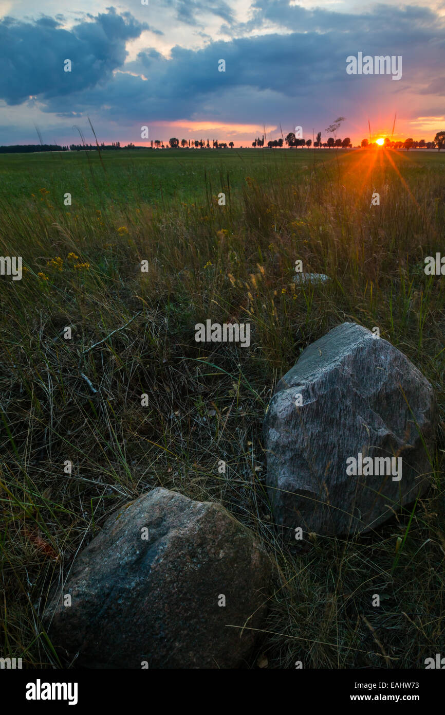 Field landscape with stones Stock Photo - Alamy