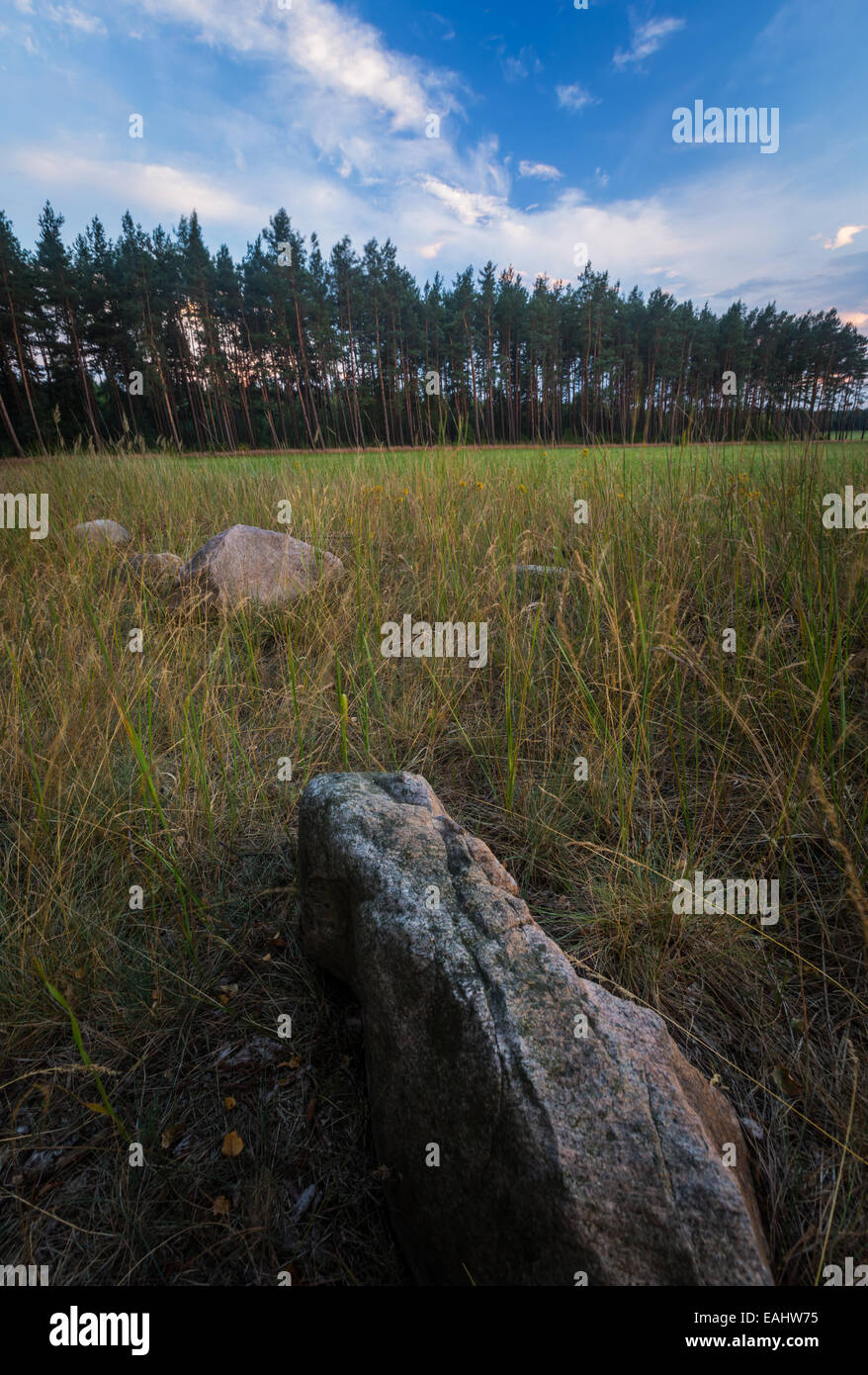 Field landscape with stones Stock Photo - Alamy