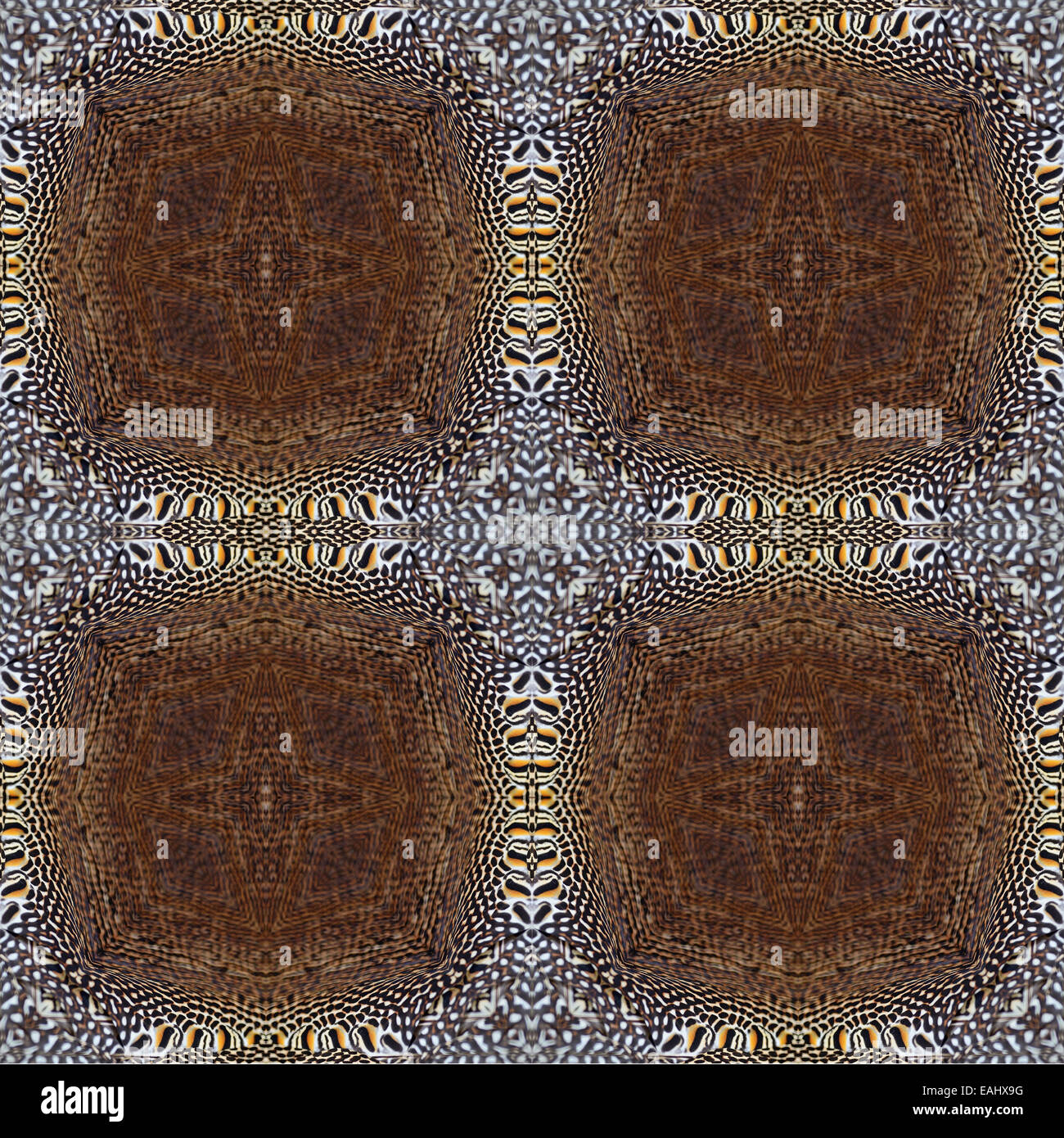 Seamless pattern made from Green Peafowl feathers Stock Photo - Alamy