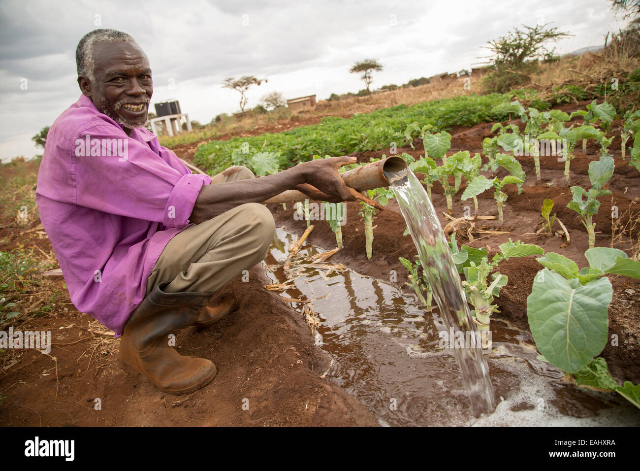 A small farmer irrigates his vegetable farm in Makueni County, Kenya ...