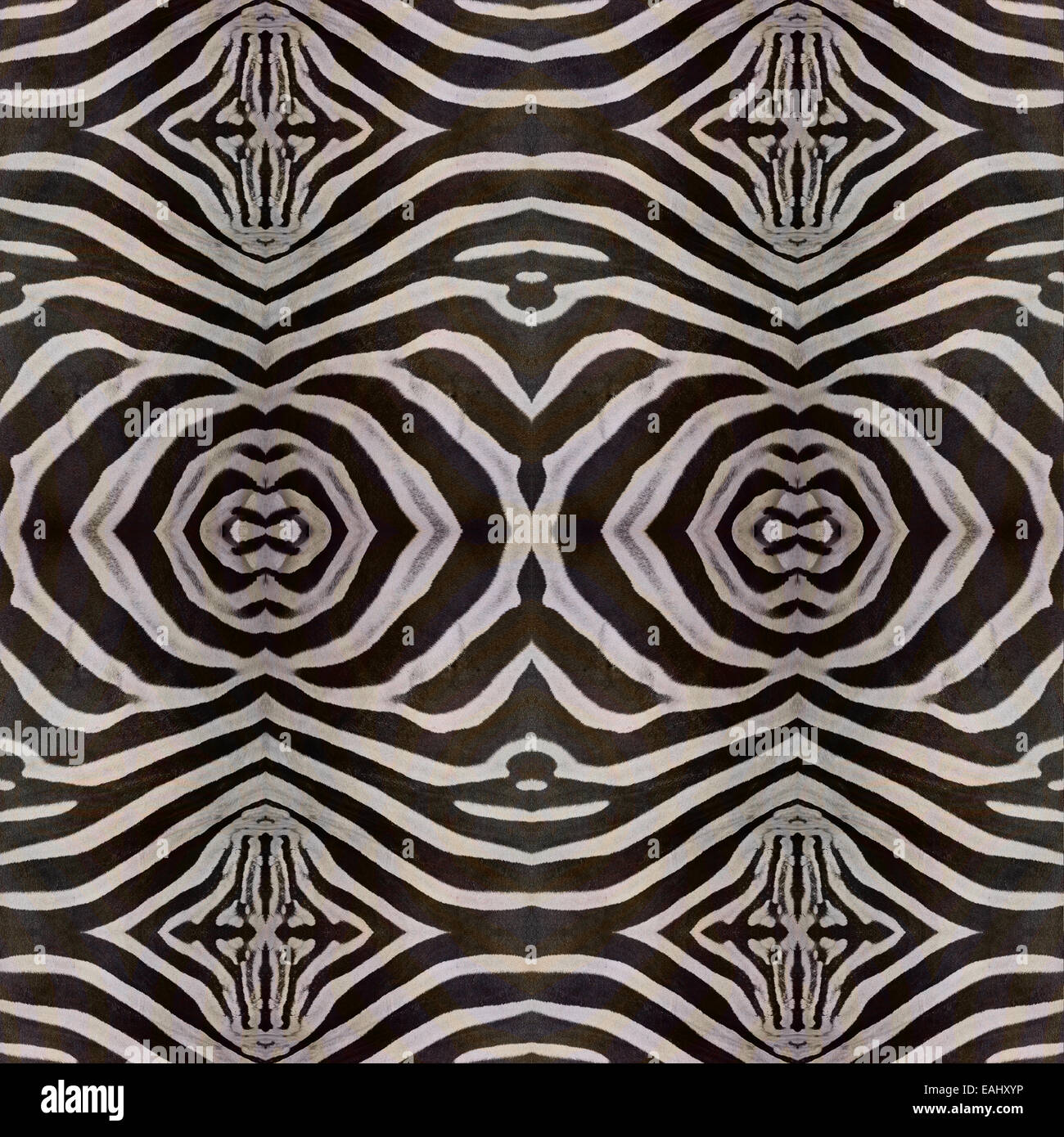 Seamless pattern made from skin of Common Zebra, Burchell's Zebra Stock ...