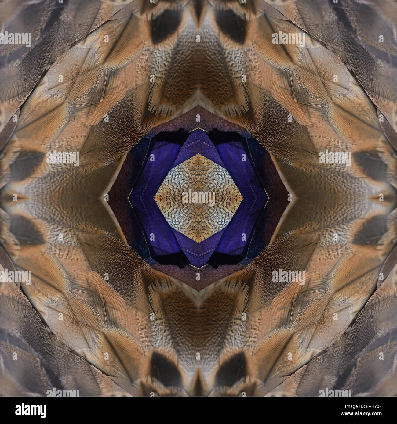 Seamless pattern made from male duck feathers Stock Photo - Alamy