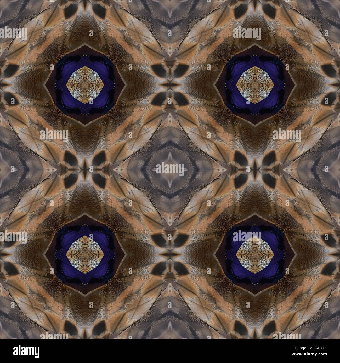 Seamless pattern made from male duck feathers Stock Photo - Alamy