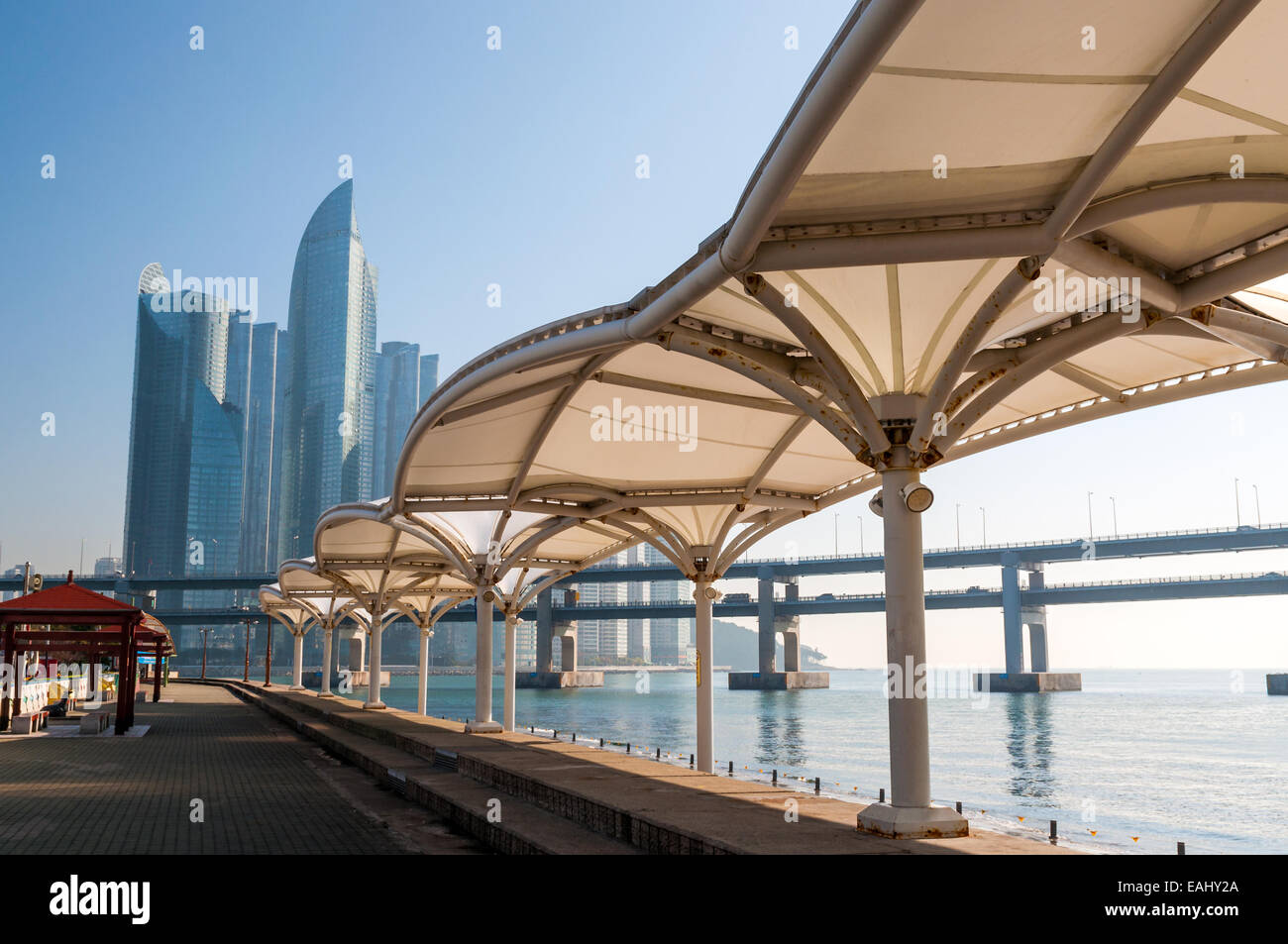 A park along the waterfront in Busan, looking toward the skyscrapers of ...