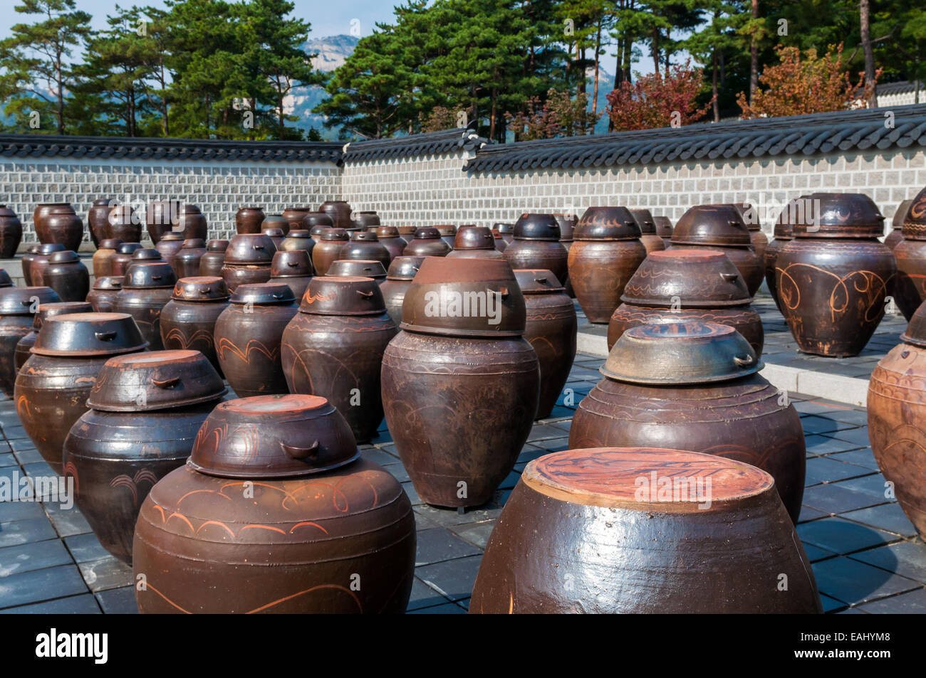 Dozens of large clay pots hold fermenting kimchi in Seoul, South Korea ...