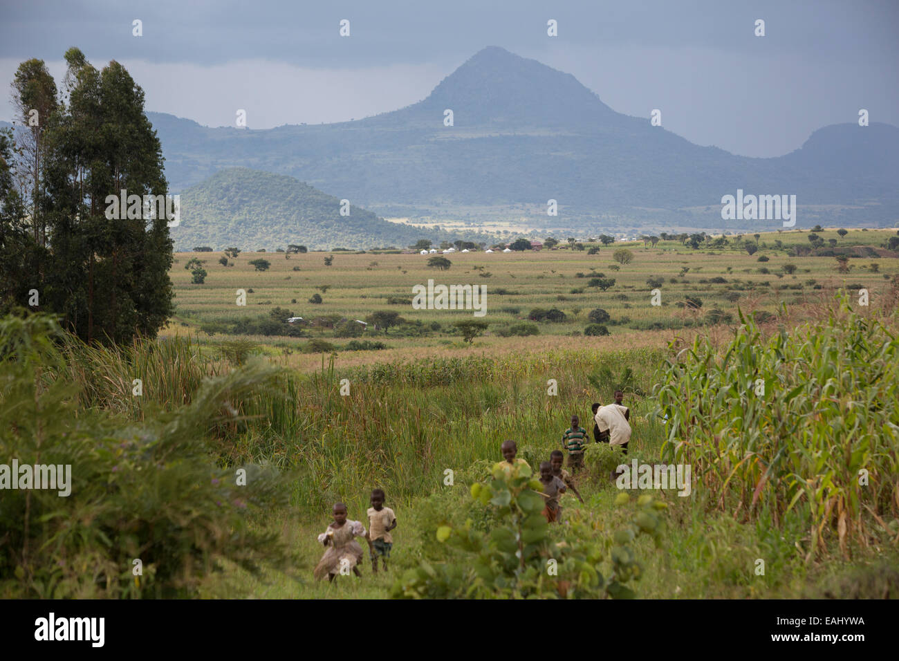 Bukwo district, Uganda is located on the eastern foothills of Mount ...