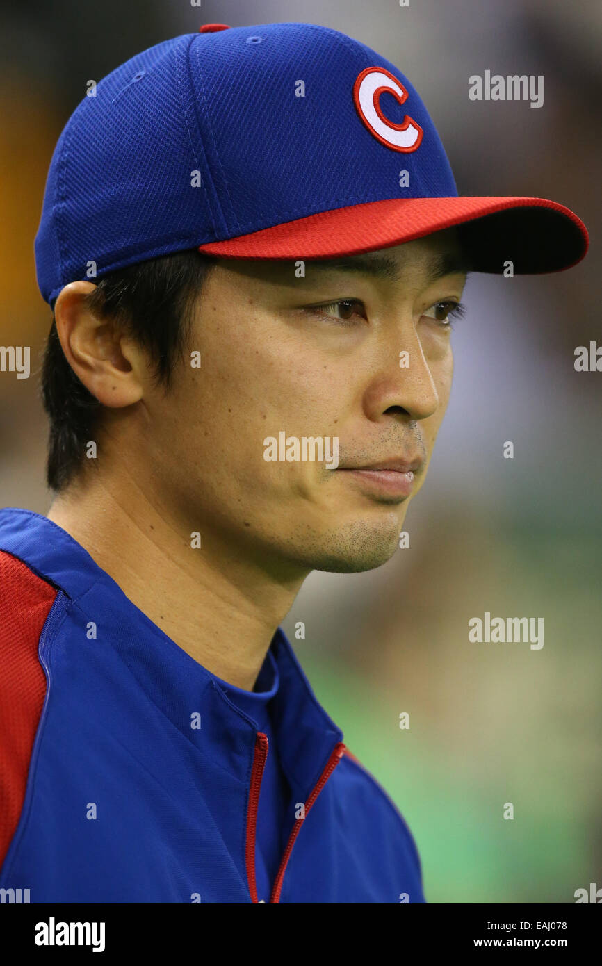 Tokyo, Japan. 15th Nov, 2014. Tsuyoshi Wada (Cubs) Baseball : 2014 All ...