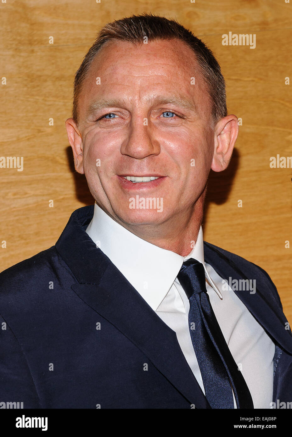 Museum Of Modern Art's 2014 Party In The Garden Featuring: Daniel Craig ...