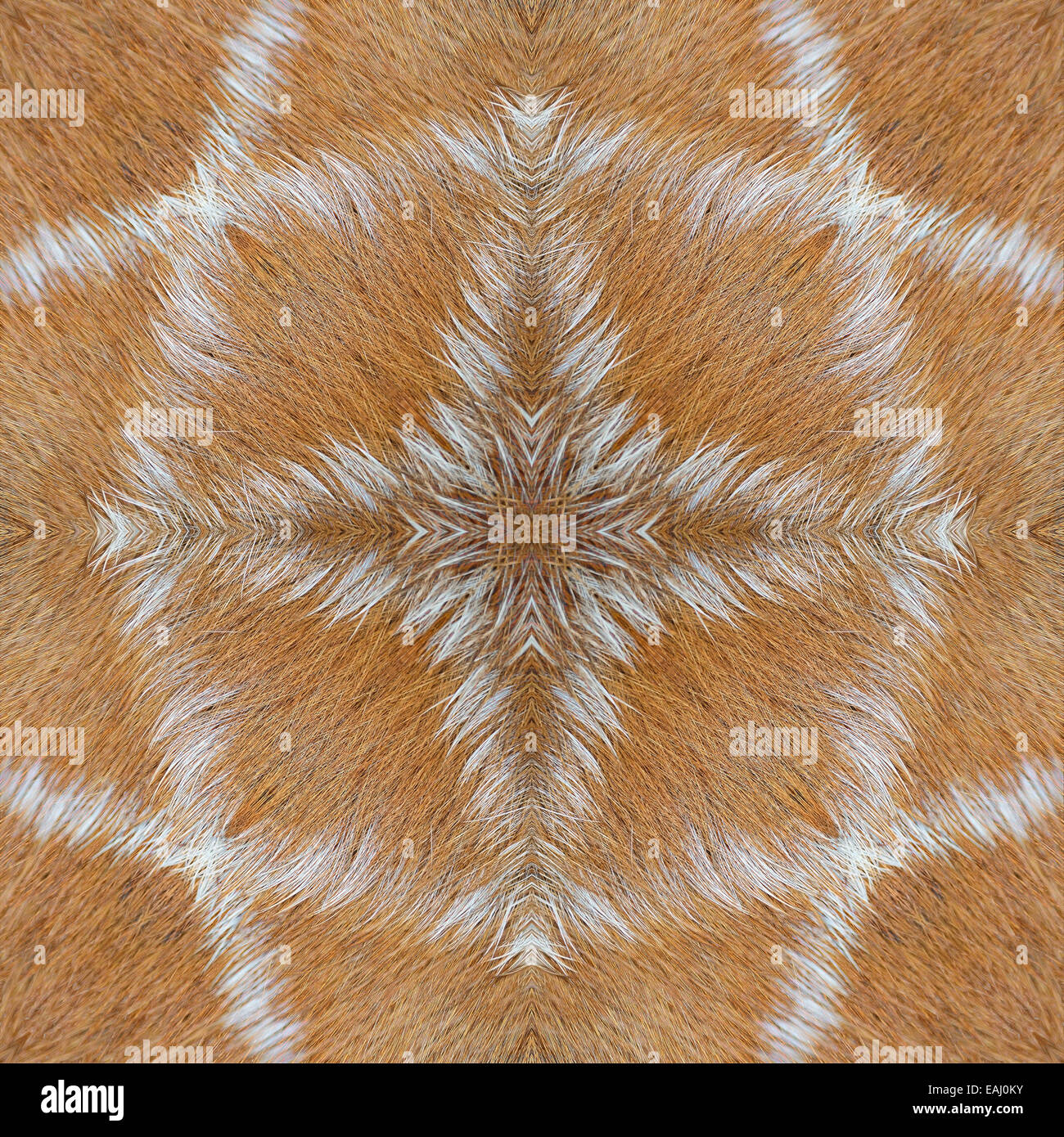 Beautiful seamless pattern made from deer skin Stock Photo - Alamy