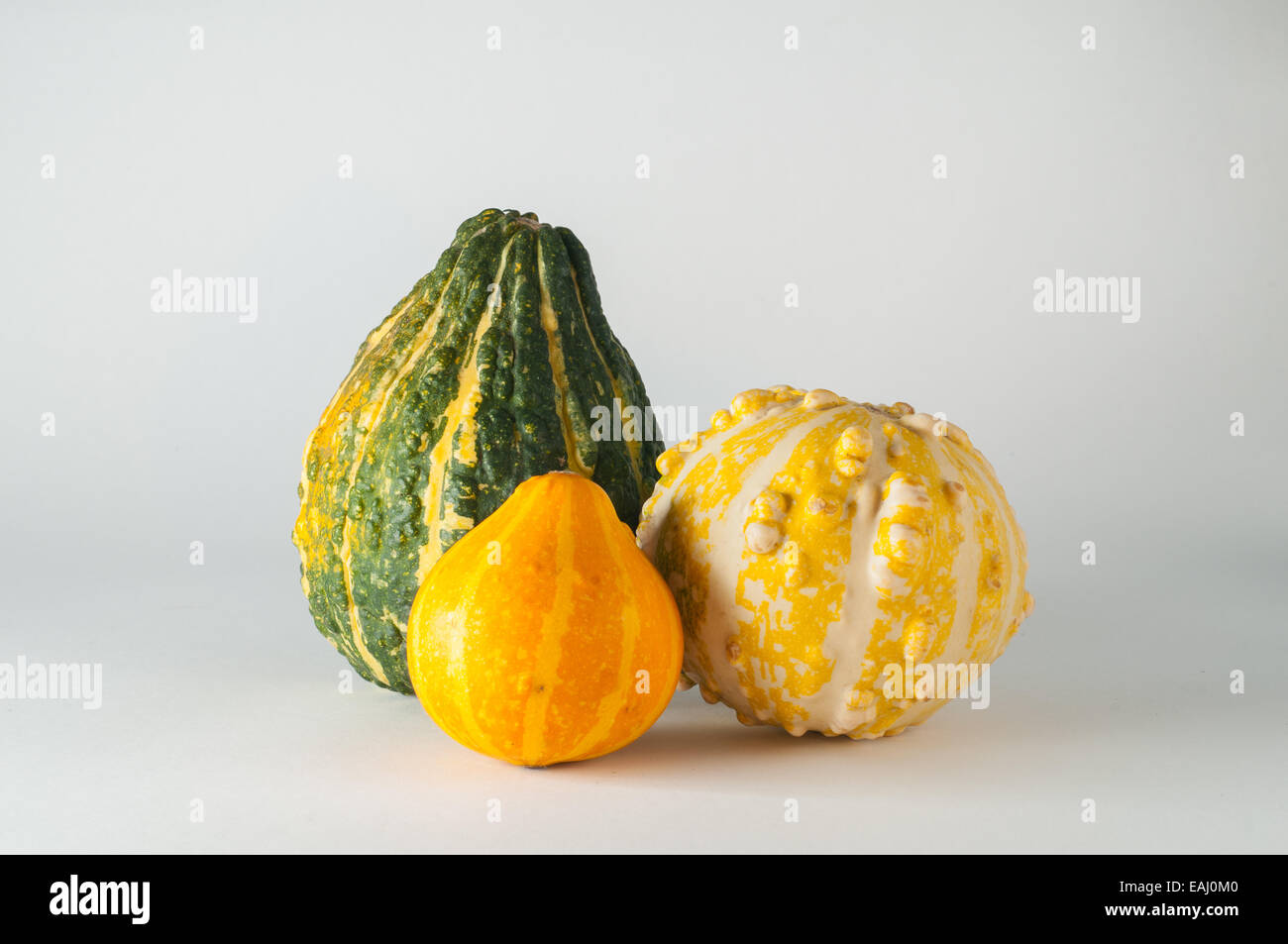 Fall gourds hi-res stock photography and images - Alamy
