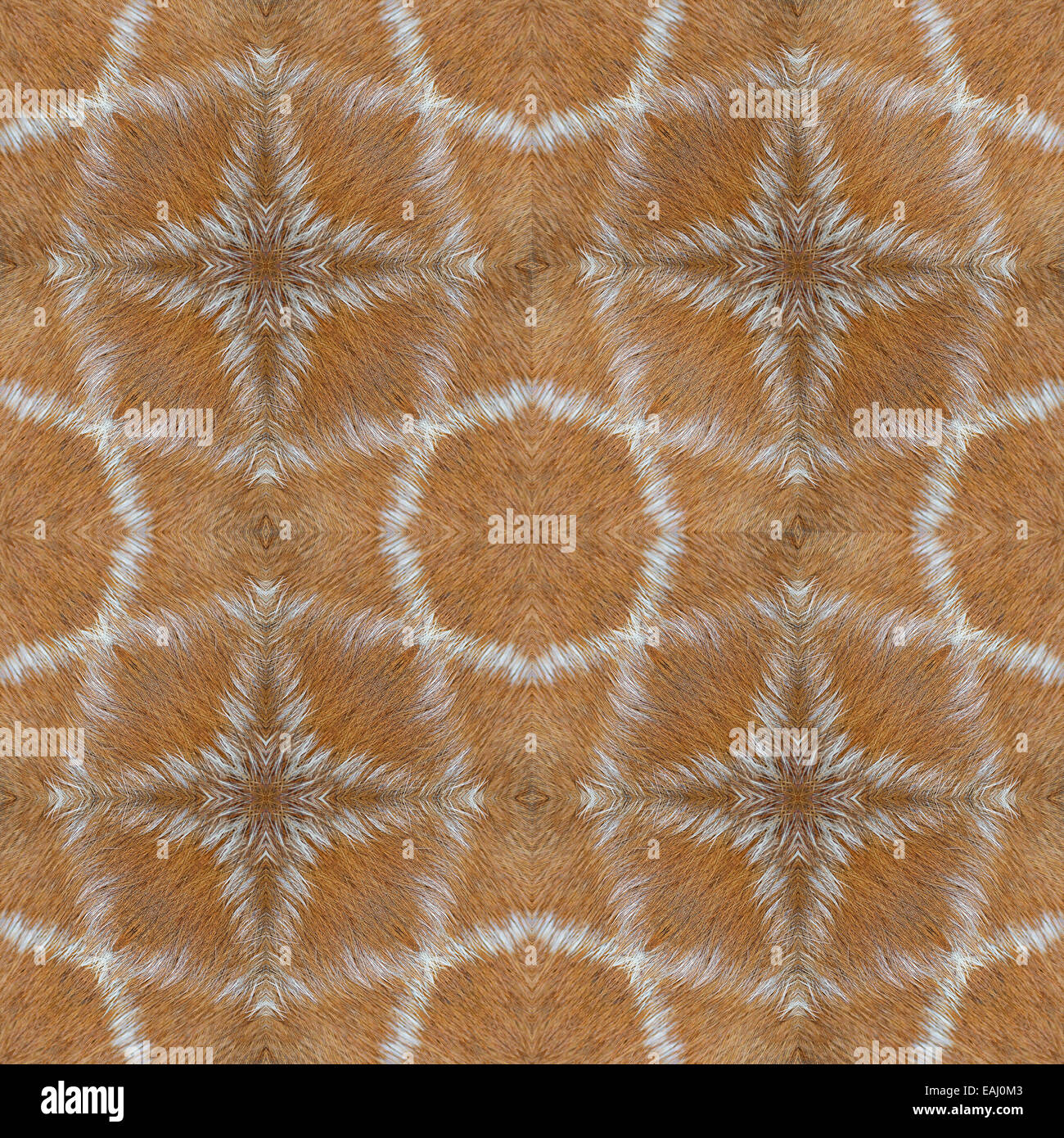 Beautiful seamless pattern made from deer skin Stock Photo - Alamy