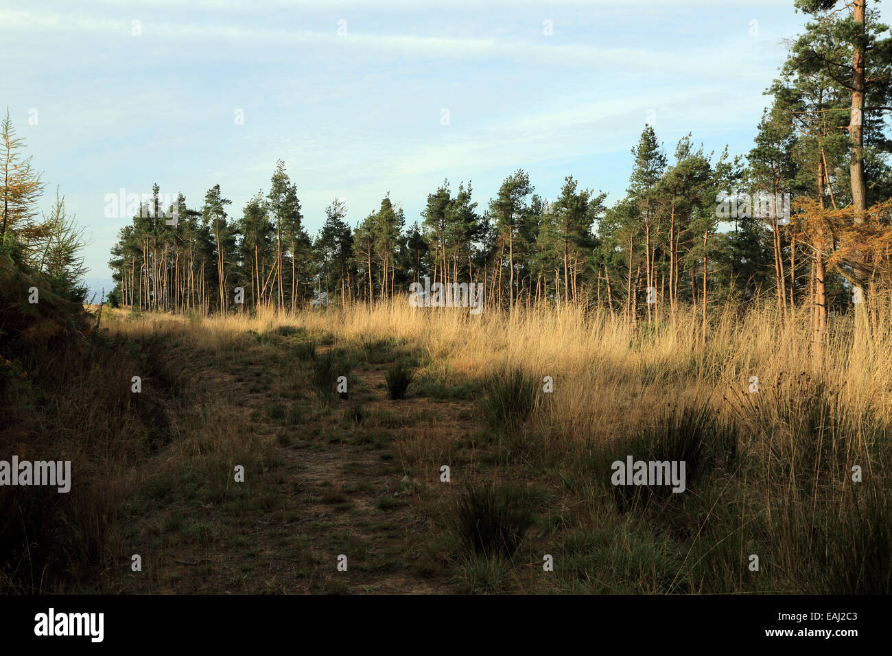 Thimbleby banks hi-res stock photography and images - Alamy