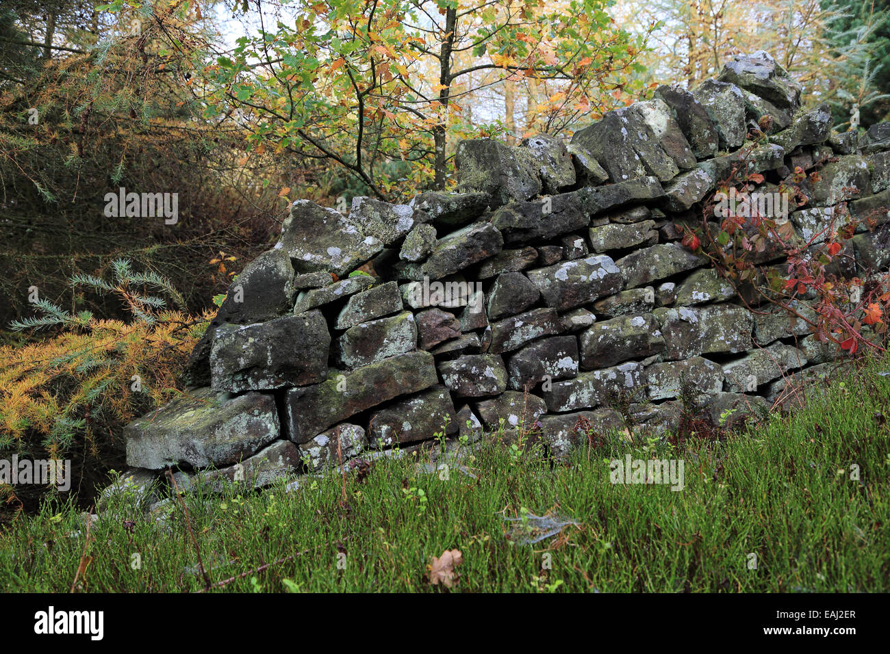 Wall construction techniques hi-res stock photography and images - Alamy