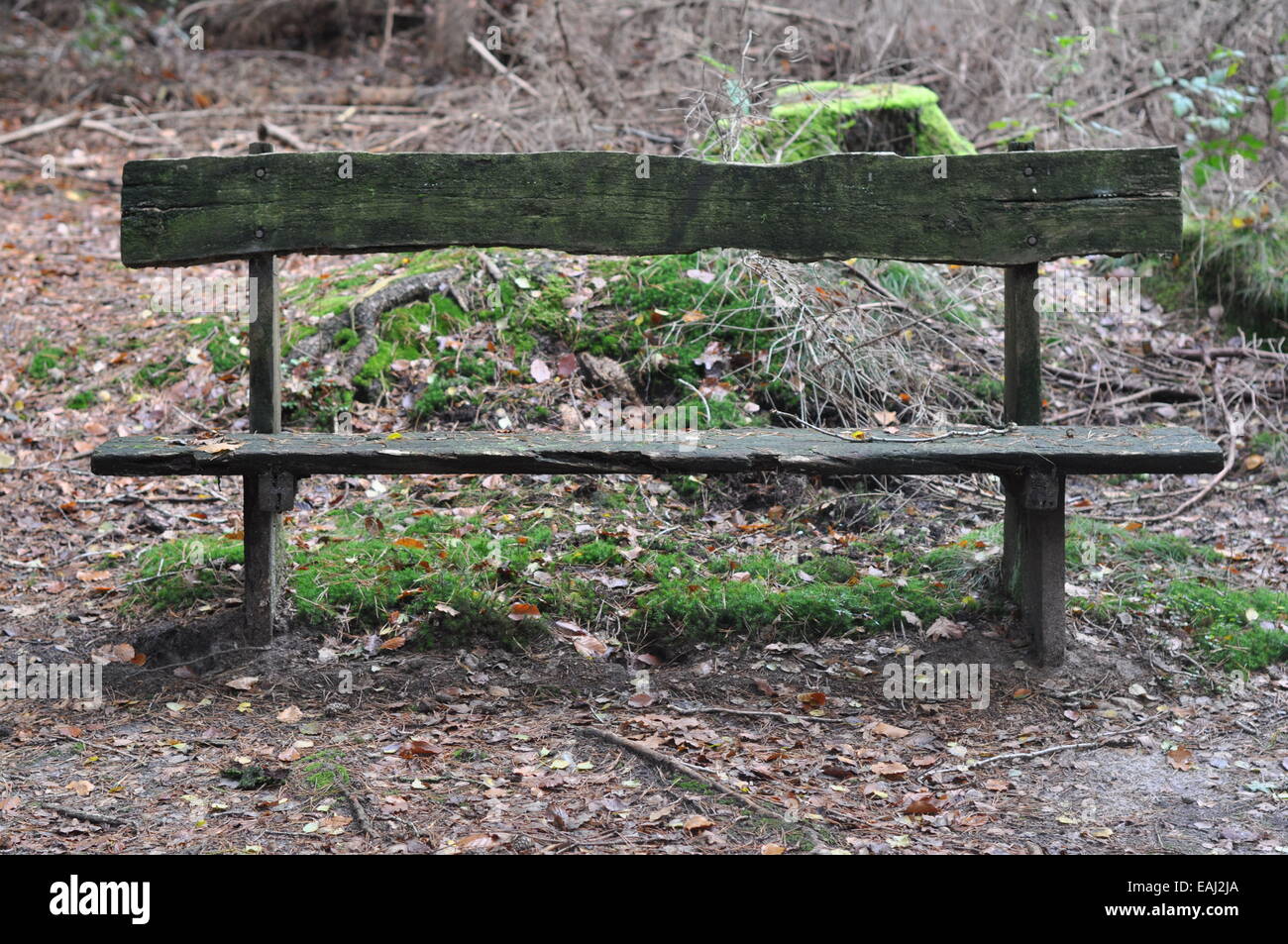Rotten wooden bench in the forest hi-res stock photography and images ...