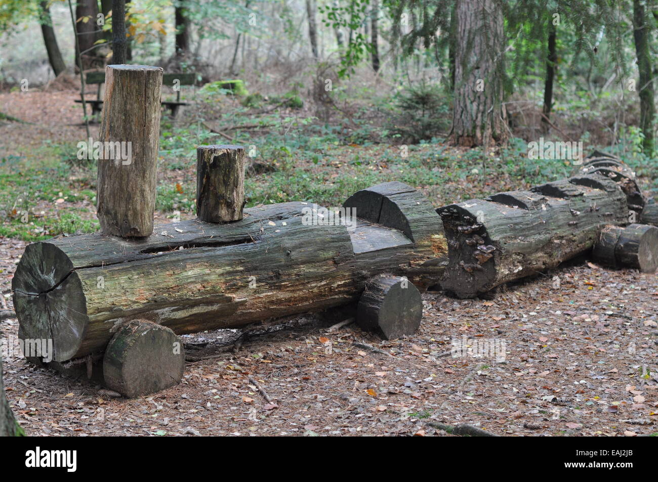 Rotten wooden train in the forest hi-res stock photography and images ...