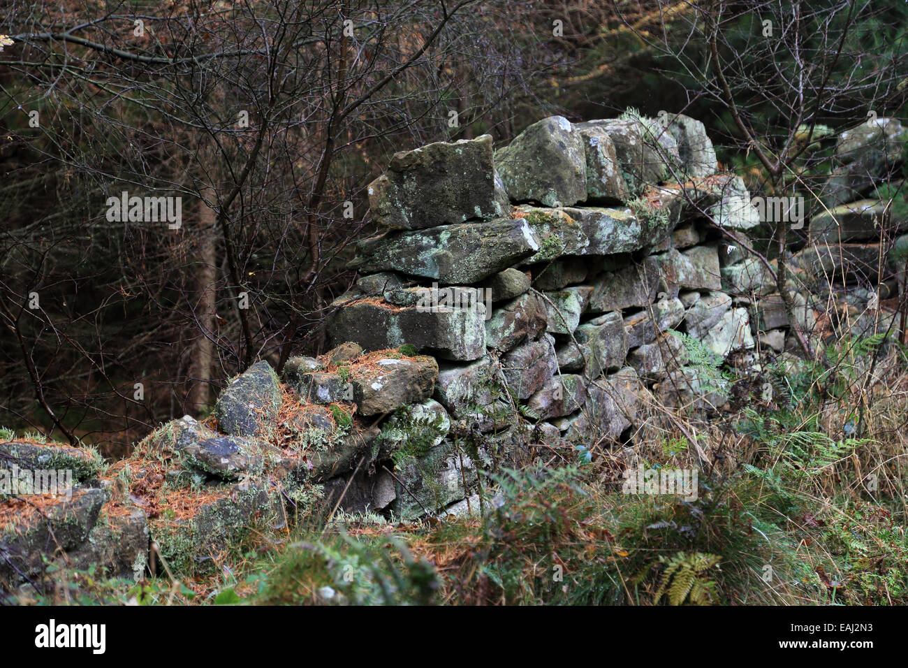 Traditional building techniques hi-res stock photography and images - Alamy