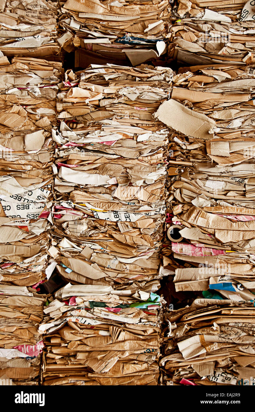 closeup of paper packed and ready for recycling Stock Photo - Alamy