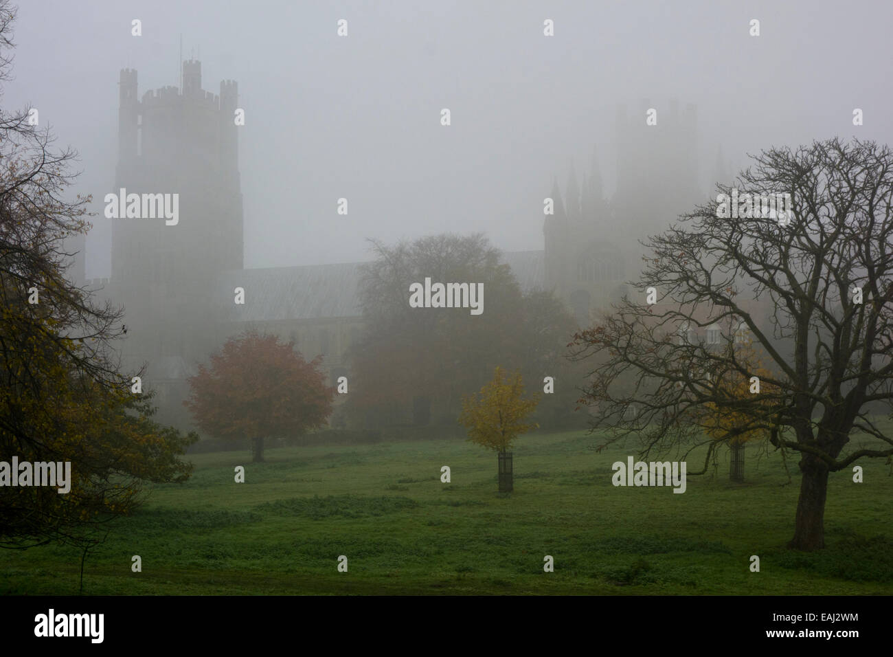 Goods train hi-res stock photography and images - Alamy