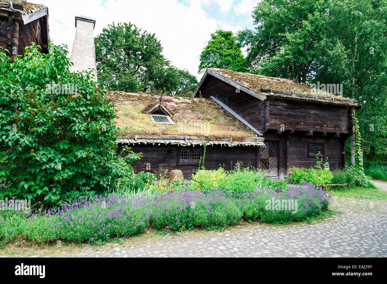 Traditional swedish farmhouse with flowering garden at Skansen ...