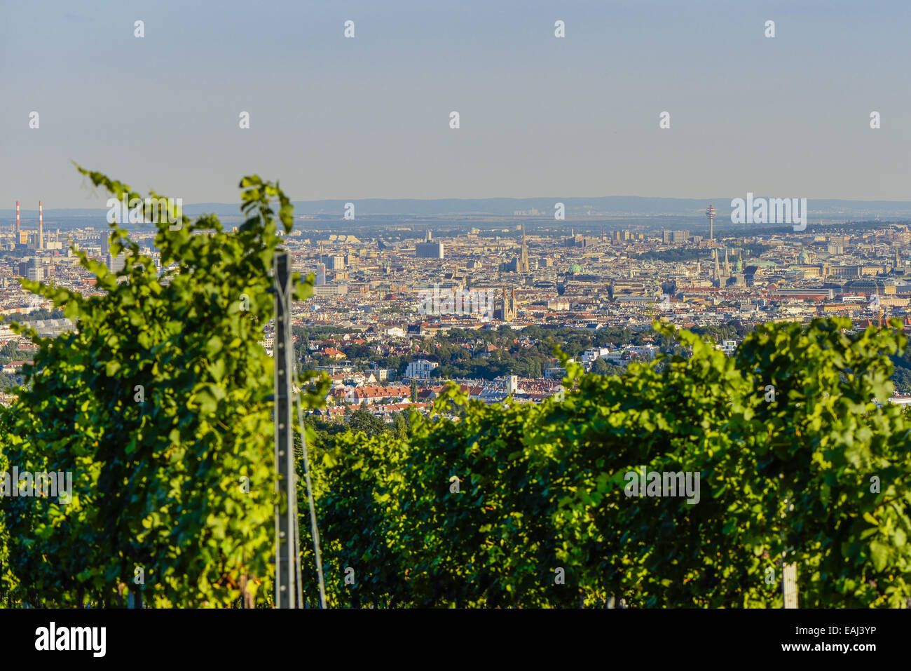 Vienna birds eye view hi-res stock photography and images - Alamy