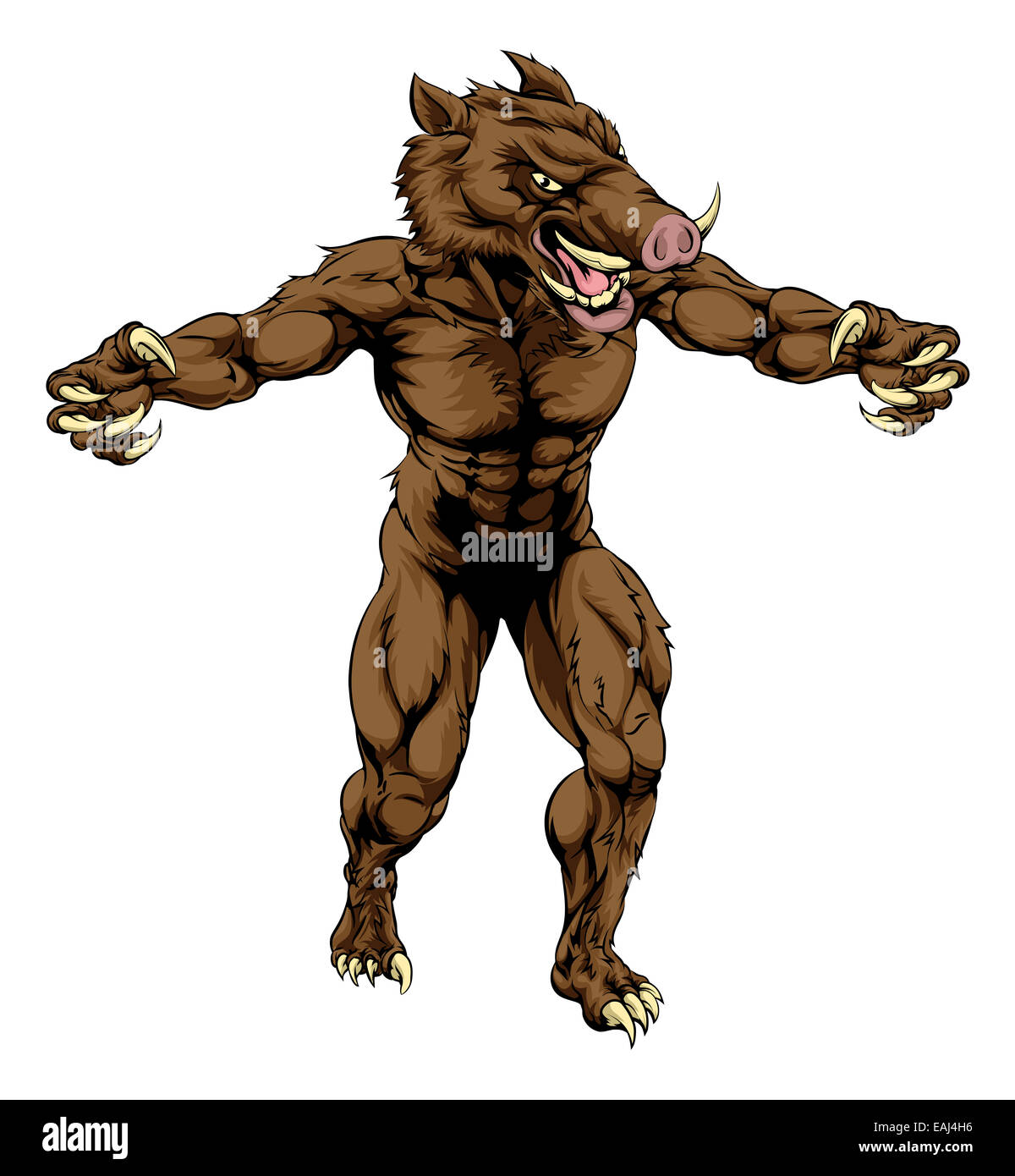 Vector illustration wild boar cartoon Cut Out Stock Images & Pictures ...