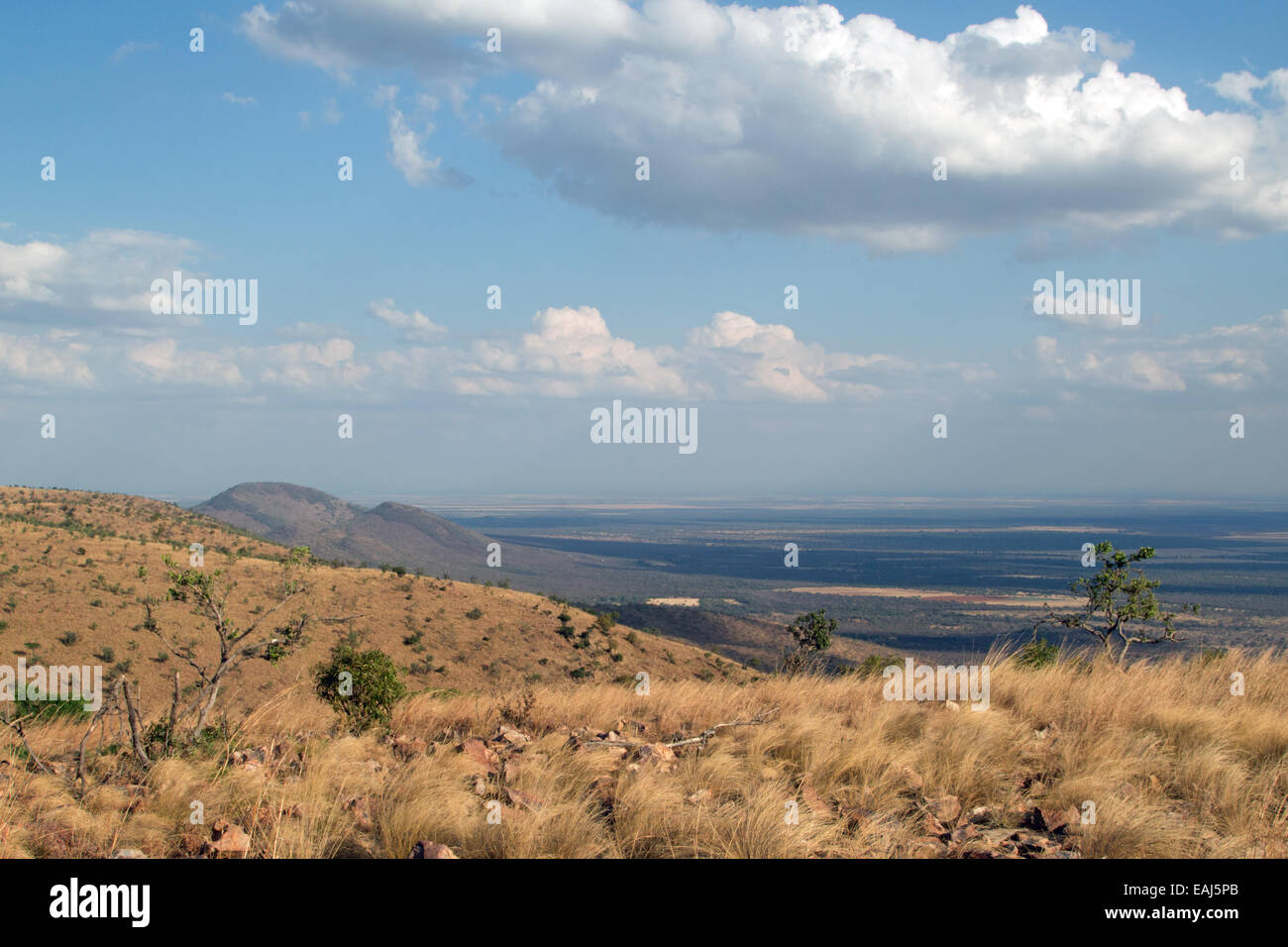 Limpopo wildlife hi-res stock photography and images - Alamy