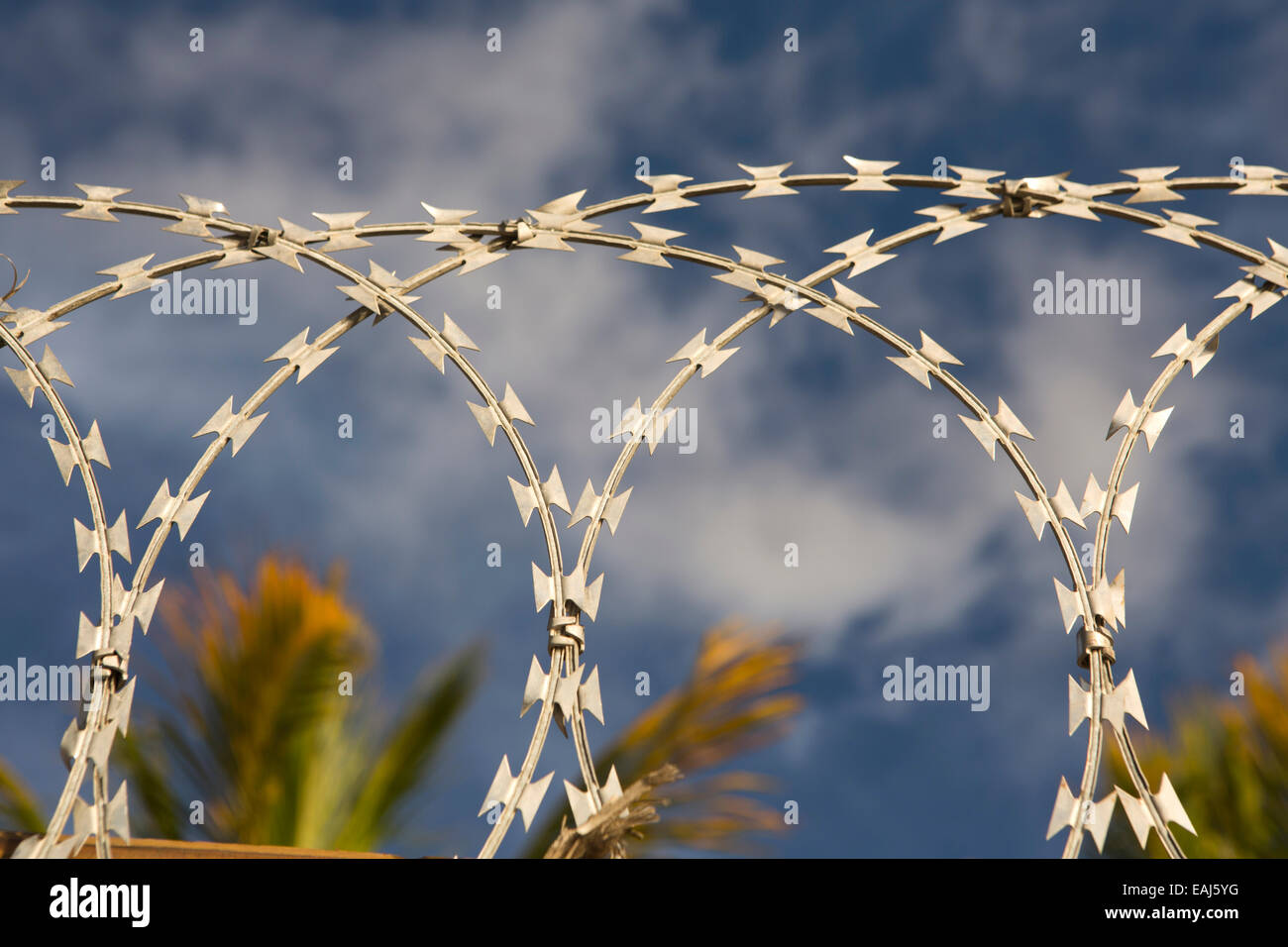 Mauritius, Pereybere, security, razor wire on fence securing property ...