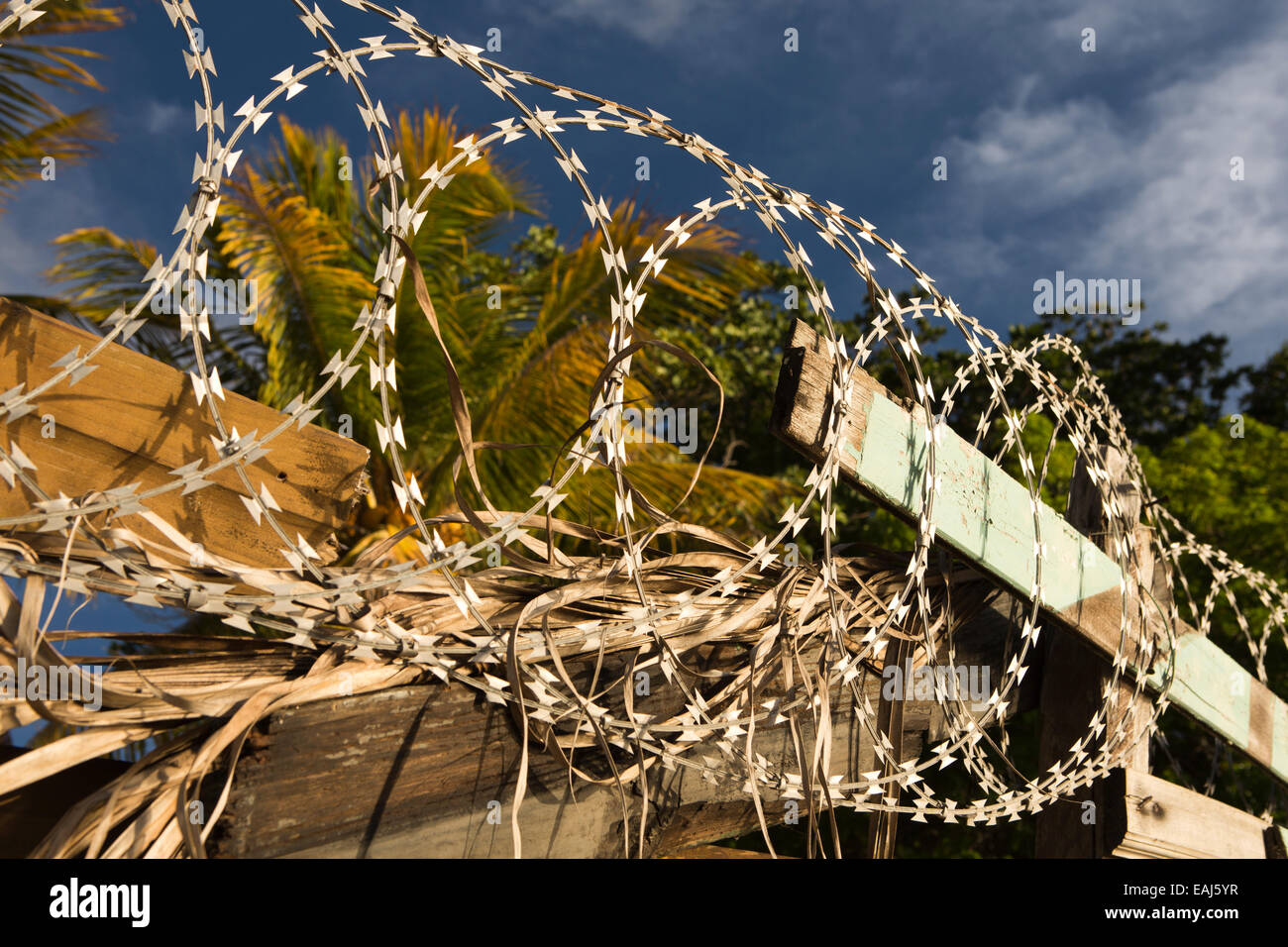 Mauritius, Pereybere, security, razor wire on fence securing property ...