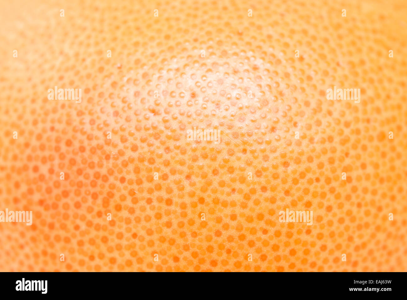 Orange Fruit Texture Stock Photo - Alamy
