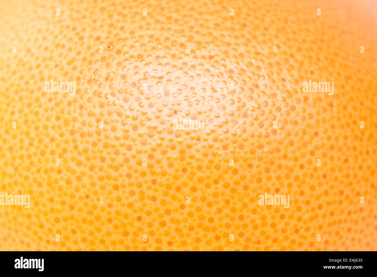 Orange Skin Texture